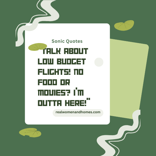 Sonic Quotes - realwomenandhomes.com